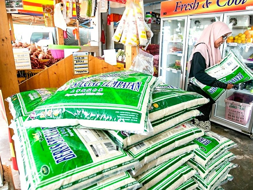 Reviving a failed paddy board – Sabah Insights